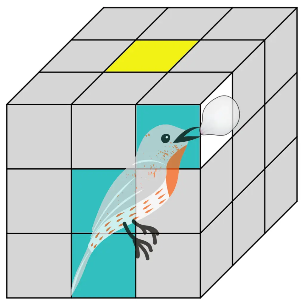 How To Solve The Rubik's Cube In 8 Easy Steps Using Bunnies!